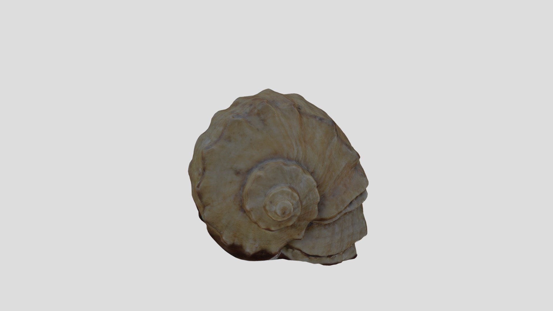 Rakushka - Download Free 3D model by Olha Yemets (@wollier94) [3d8d342 ...