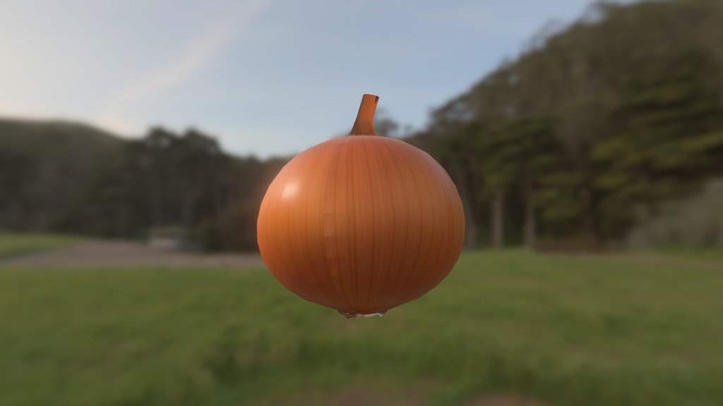 ONION - 3D model by Raptor (@reptileye) [3d8ec65] - Sketchfab