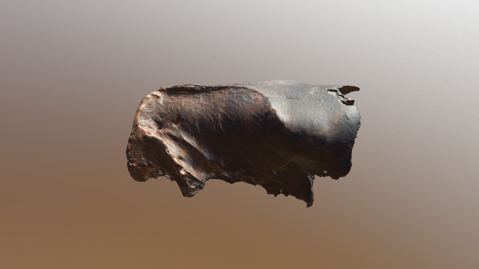 Giant Ground Sloth Skull (VCU_3D_3211) - 3D model by Virtual Curation ...