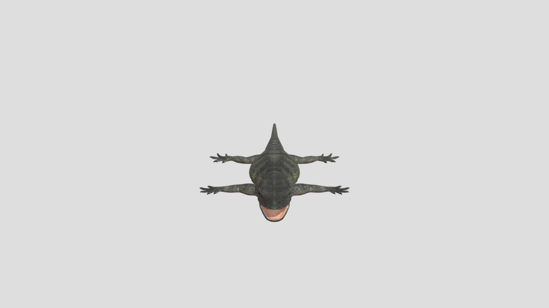 Dino Raul's Chuckwalla 4 - Download Free 3D model by Sammy the Citipati ...