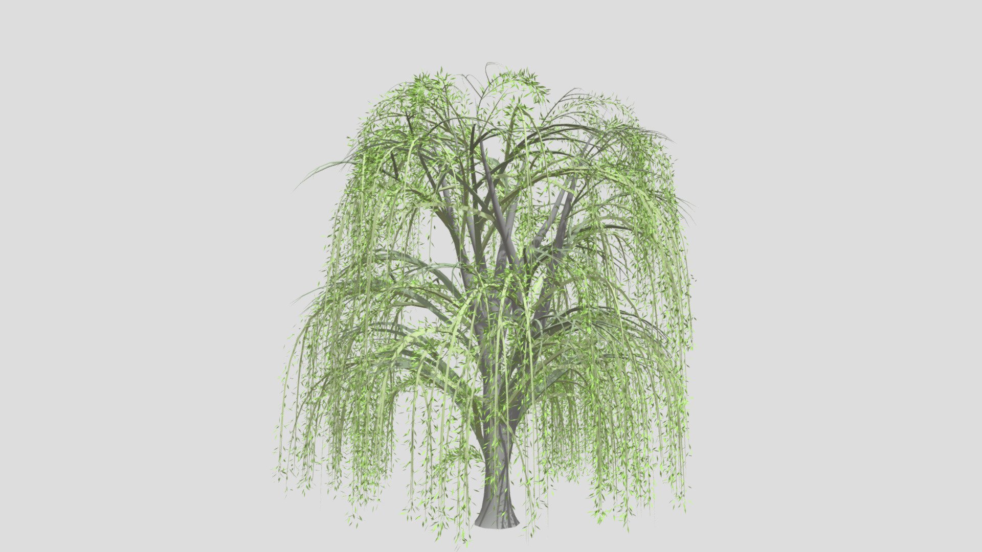 Weeping Willow. Beautiful game tree - 3D model by apple102 [3d9fb7c ...