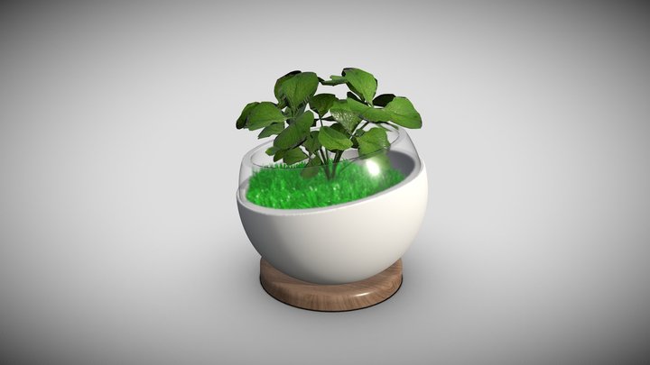 Greenleaf 3D models - Sketchfab