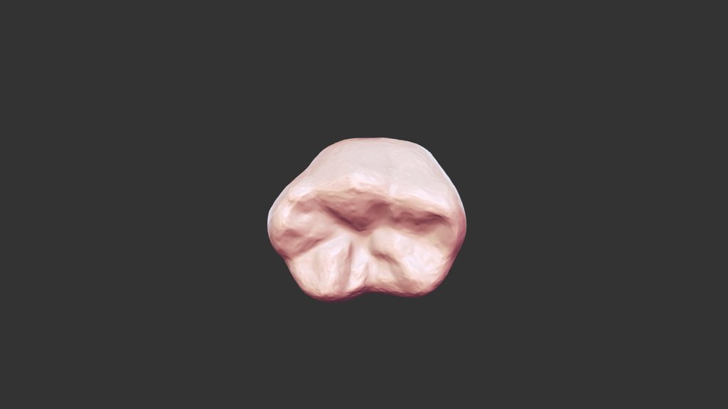 Primary Teeth - A 3D model collection by UMdental - Sketchfab