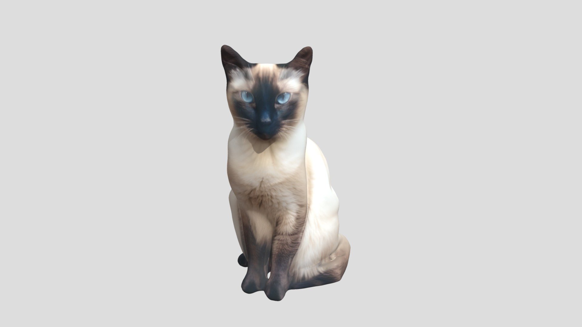 Realistic Siamese Cat 3D Model - Download Free 3D model by mikaelel ...