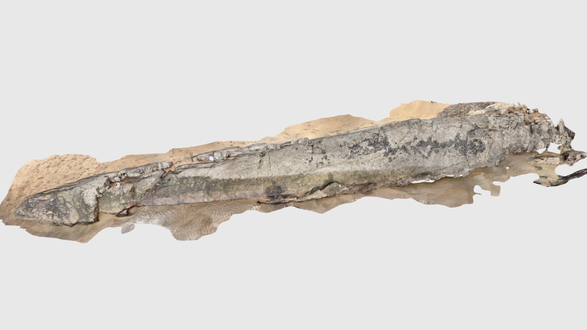 Fold Axis at Crooklets Beach, Maer - 3D model by felixsihombing ...