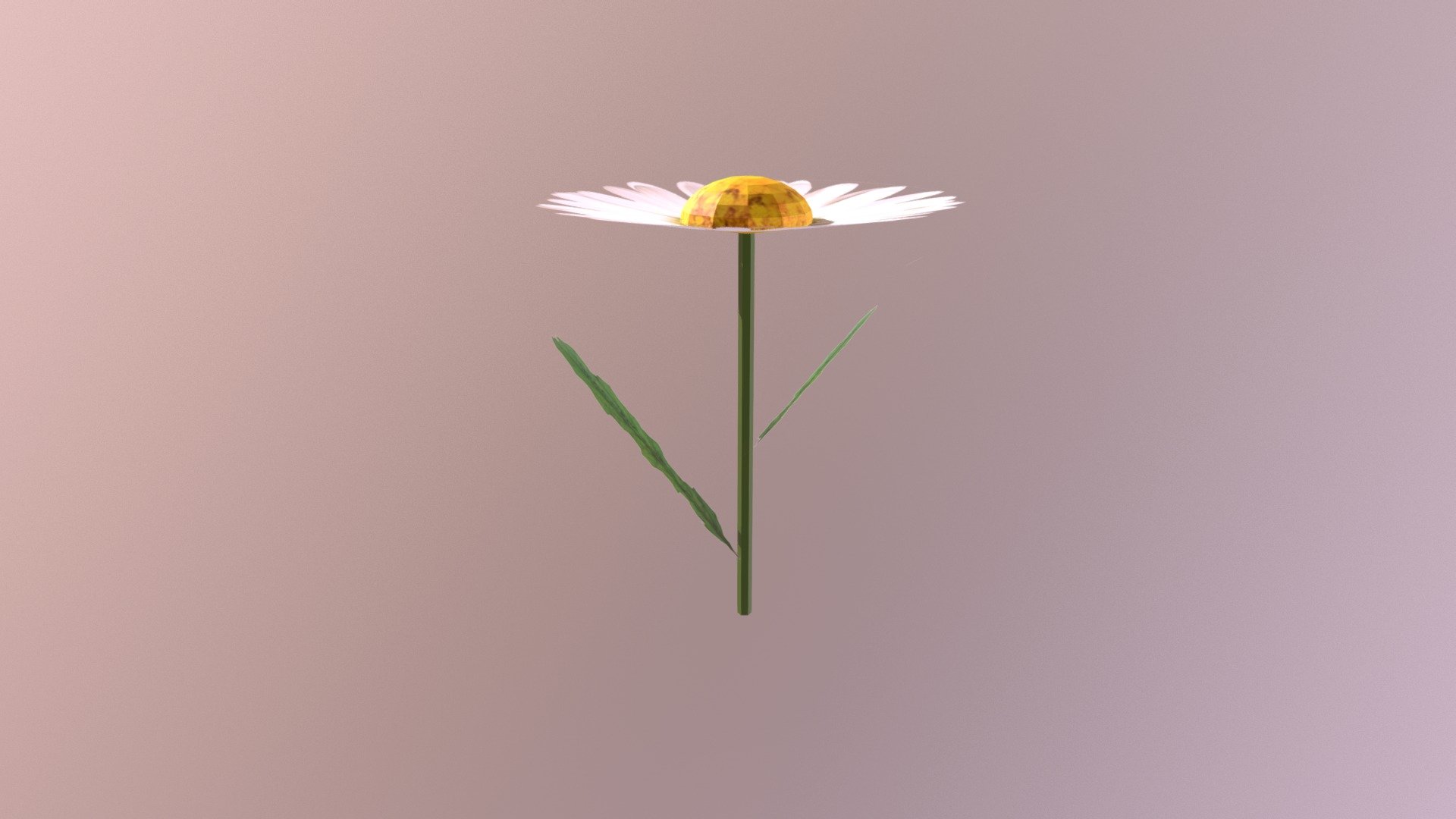 Daisy - 3D model by Rhyanan Key (@UnmeiGirl) [3daabea] - Sketchfab