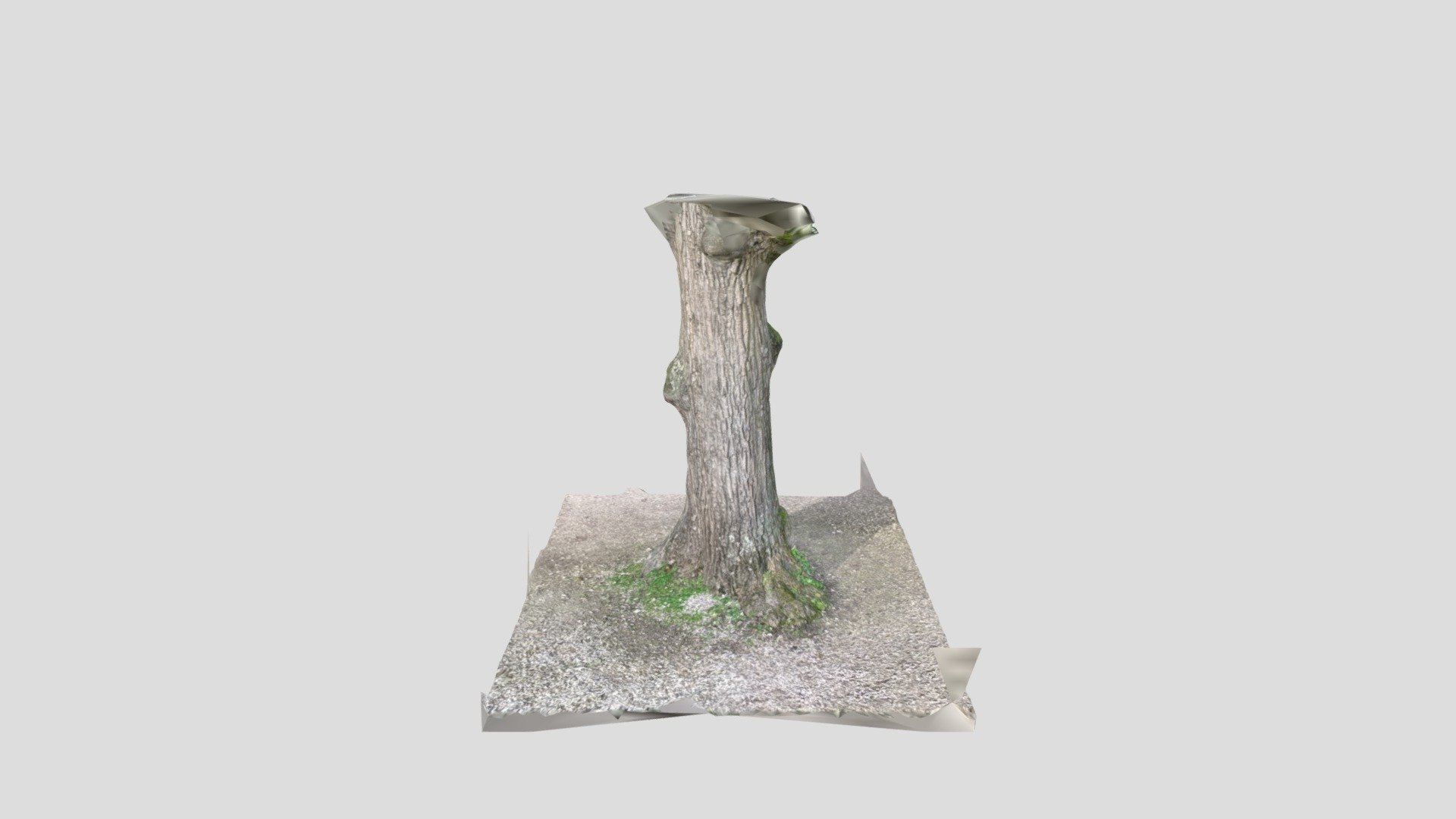 Tree Test - Download Free 3D model by IBFHNW [3dae7b4] - Sketchfab
