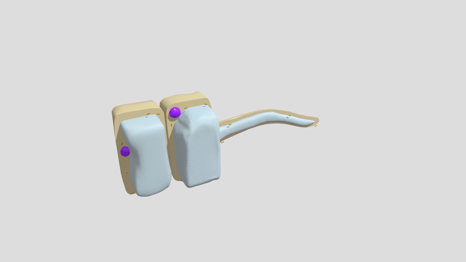 root hair cell - Download Free 3D model by Pun1shR [3db991a] - Sketchfab