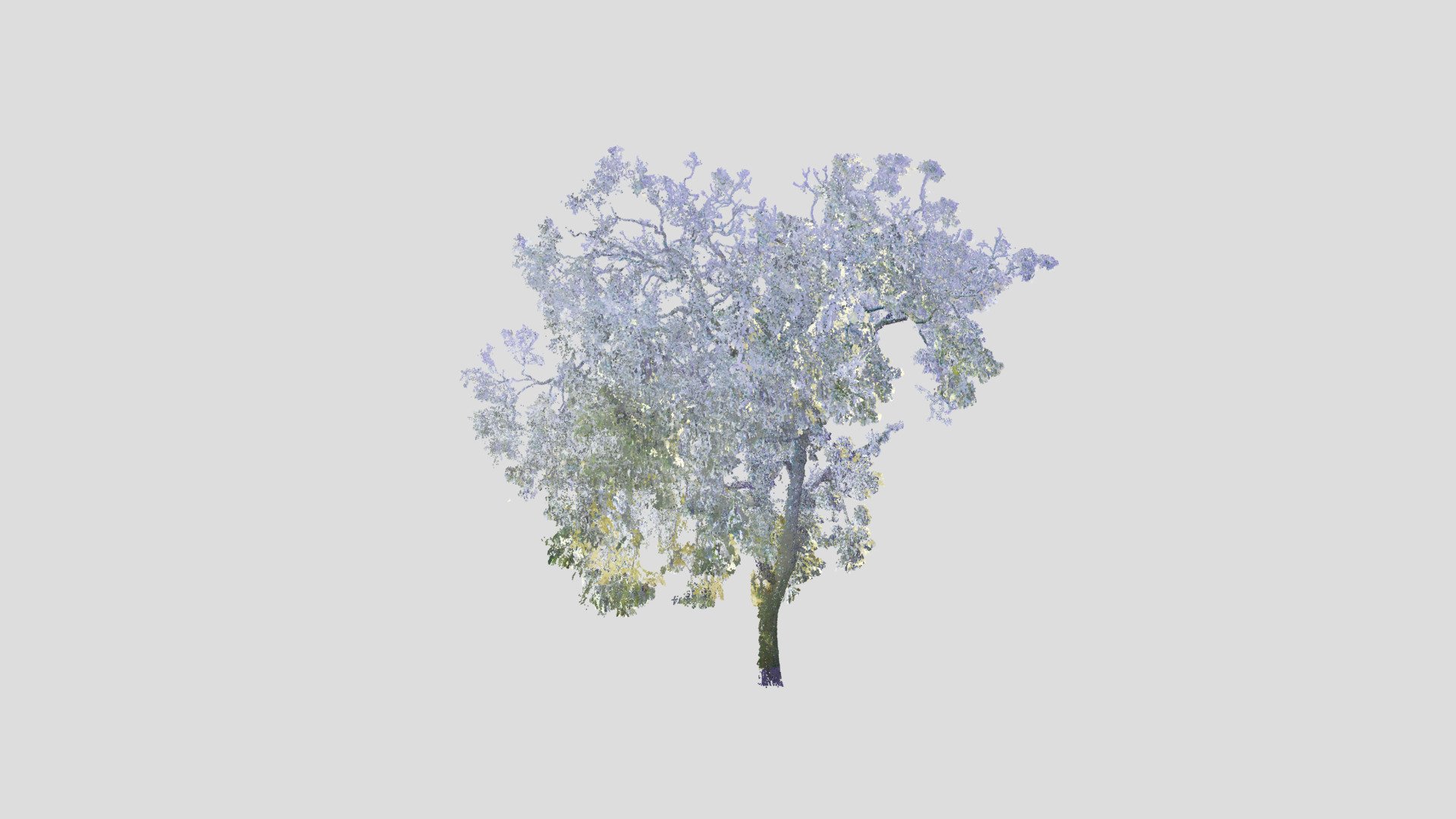 Tree Point Cloud - Buy Royalty Free 3D model by magnum_opus (@tree ...