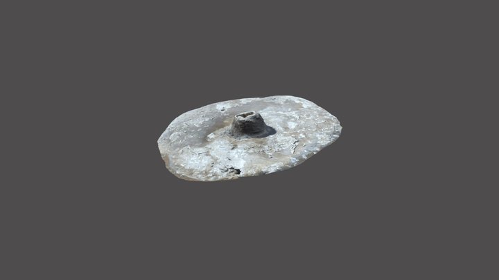 Geyser 3D models - Sketchfab