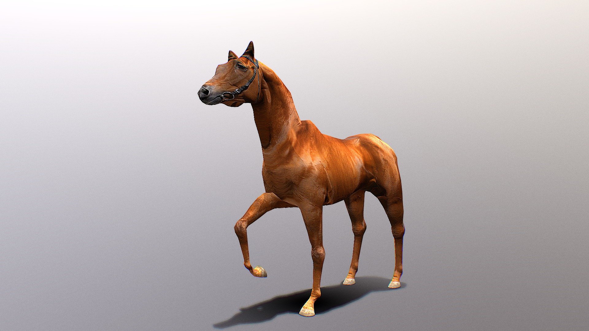horse lowpoly - Download Free 3D model by Paleo Modelist (@victory_) [3dc5467] - Sketchfab