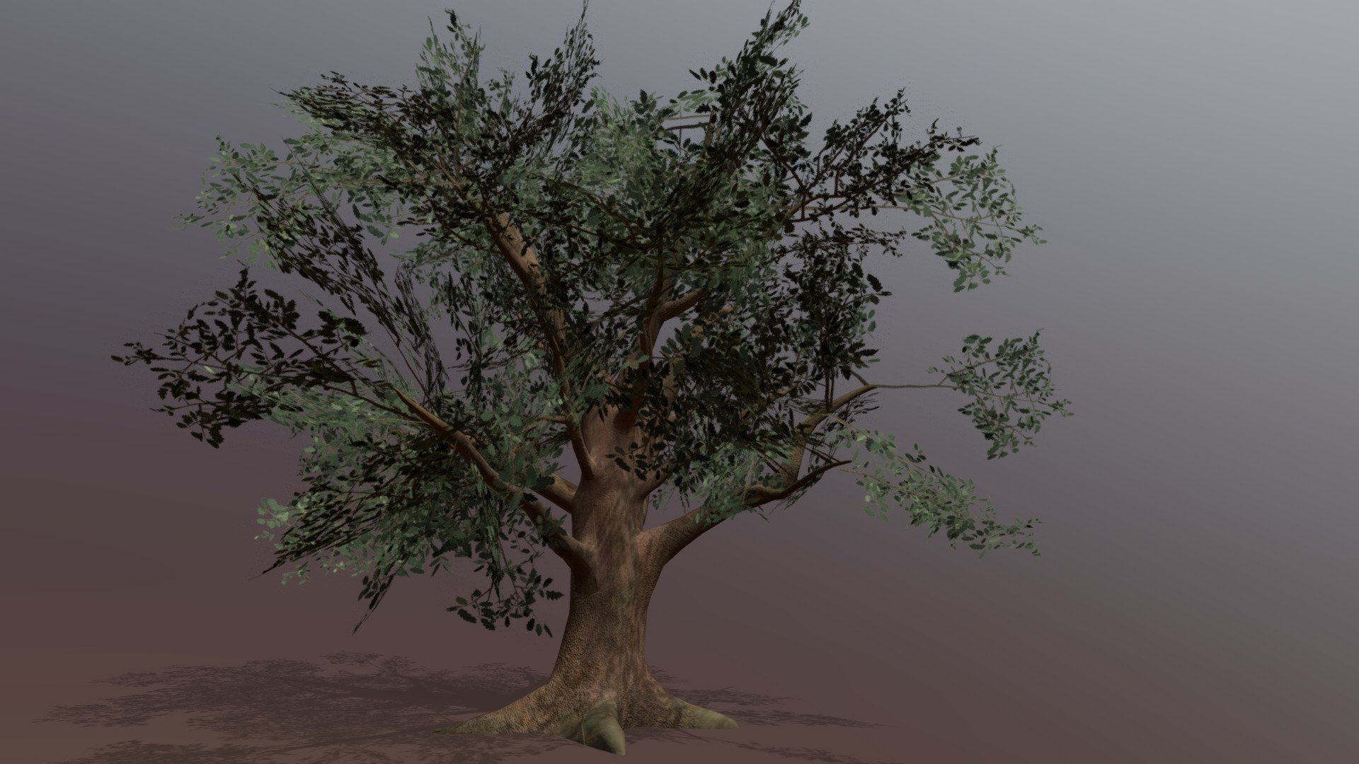 Oak tree - Download Free 3D model by massive-graphisme [3dc5956 ...