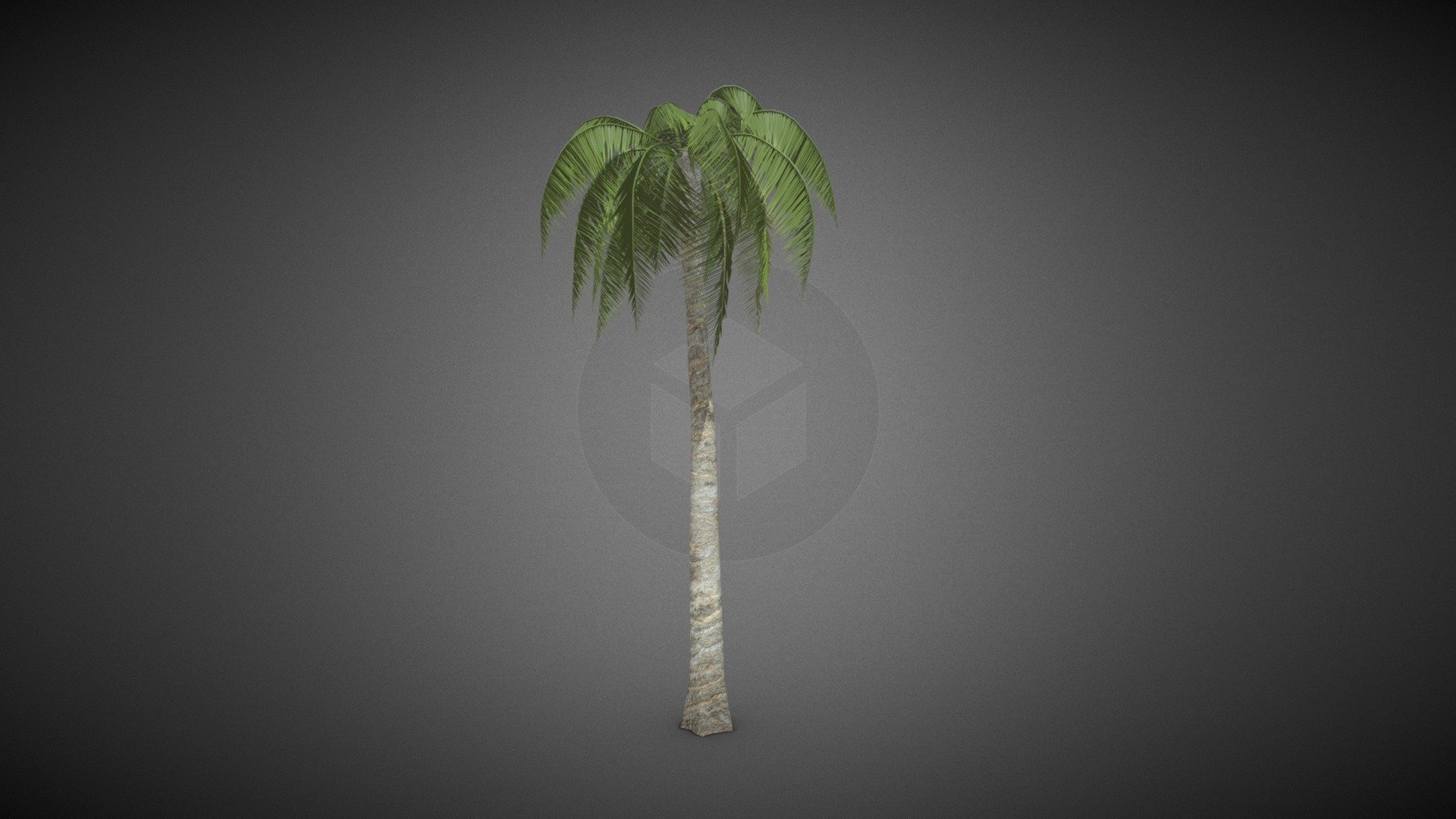 Coconut tree - Buy Royalty Free 3D model by misitewang [3dc5bba ...