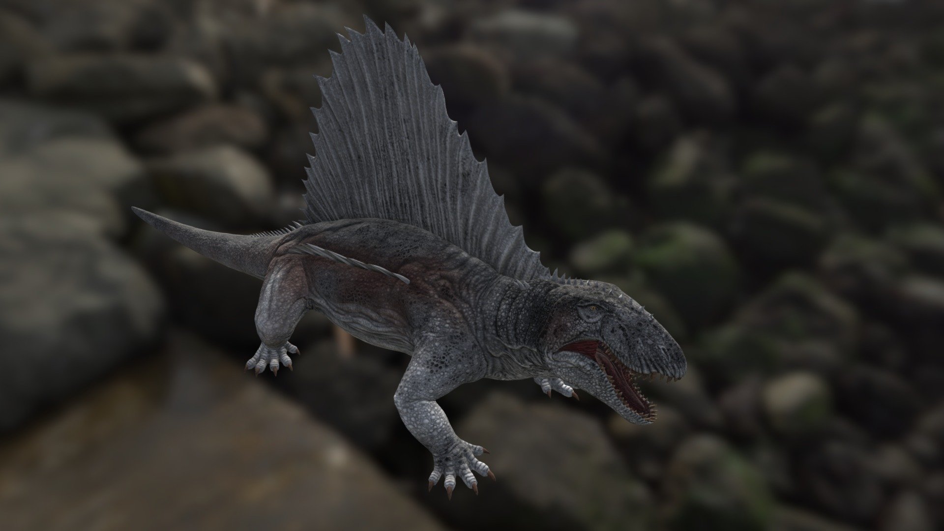 Dimetrodon - 3D model by beholdmidia [3dc7dad] - Sketchfab