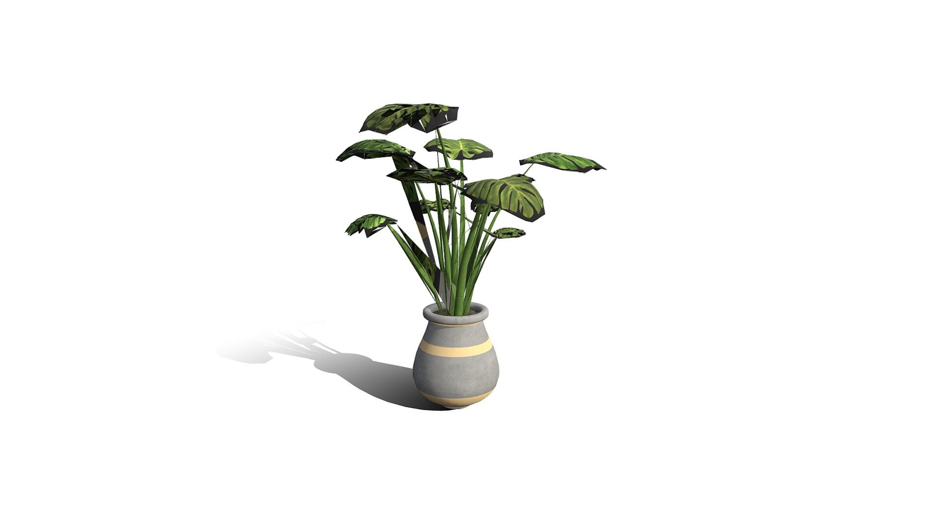 Green Plant Monstera - Buy Royalty Free 3D model by rajprajapat847 ...