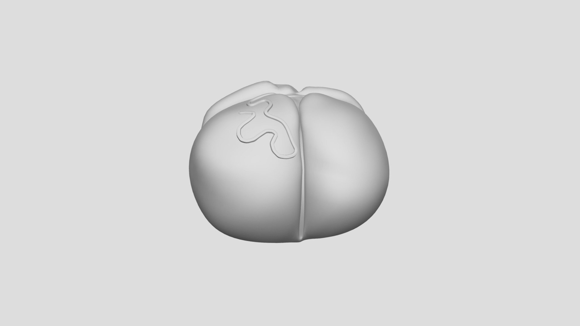 K_brevis_Model - 3D model by xsouxsou29 [3dce9a2] - Sketchfab
