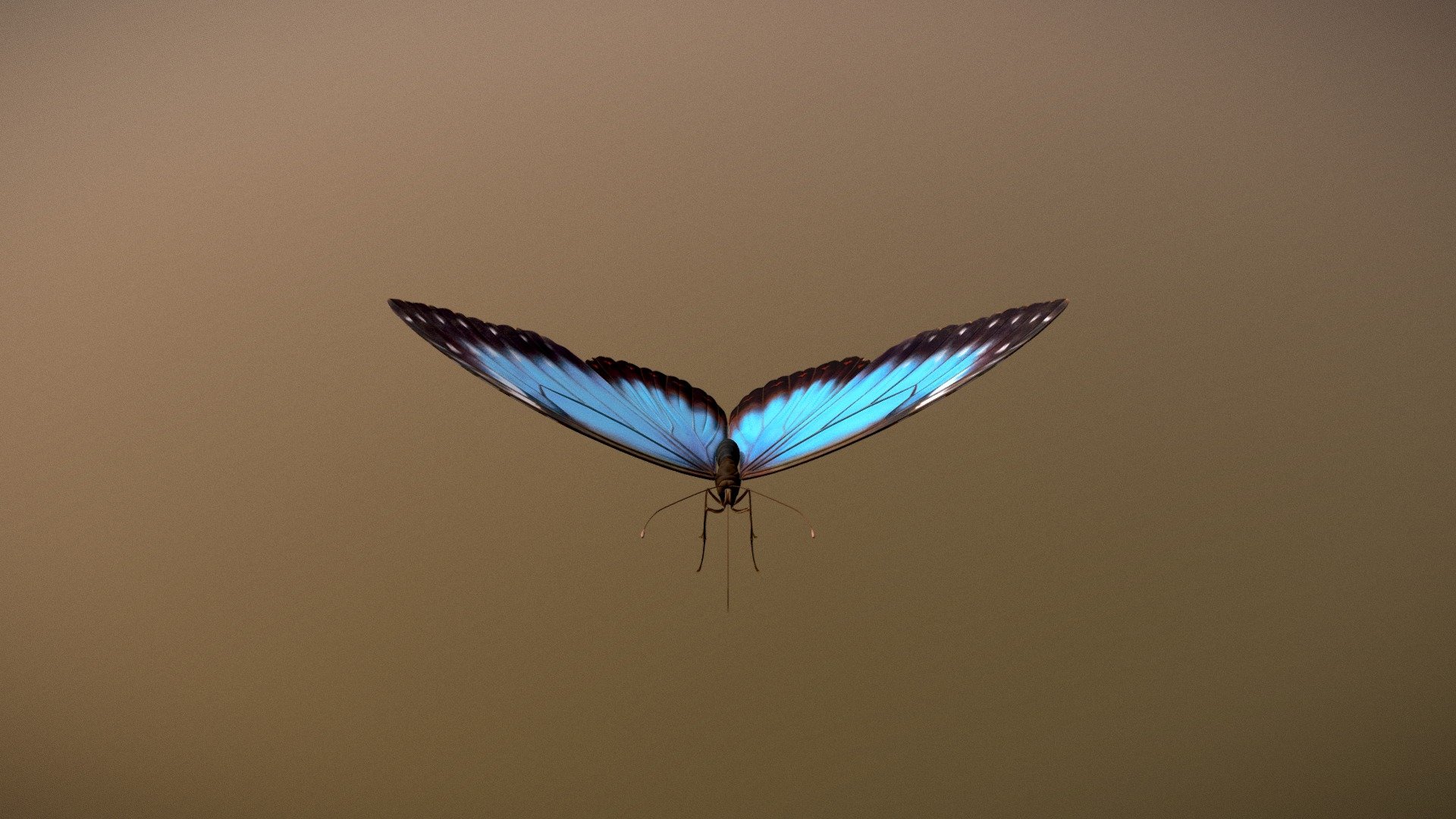 Butterfly - 3D model by maga3dmax [3dd0471] - Sketchfab