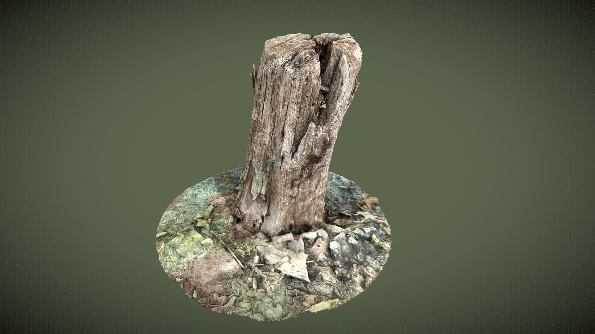 Small Tree Stump - Buy Royalty Free 3D model by ஜCIHIRISஜ ...