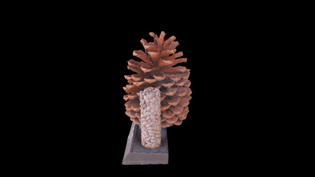Pinus_Ponderosa - 3D model by witikon.eu (@miki_edico) [3dd15b7 ...