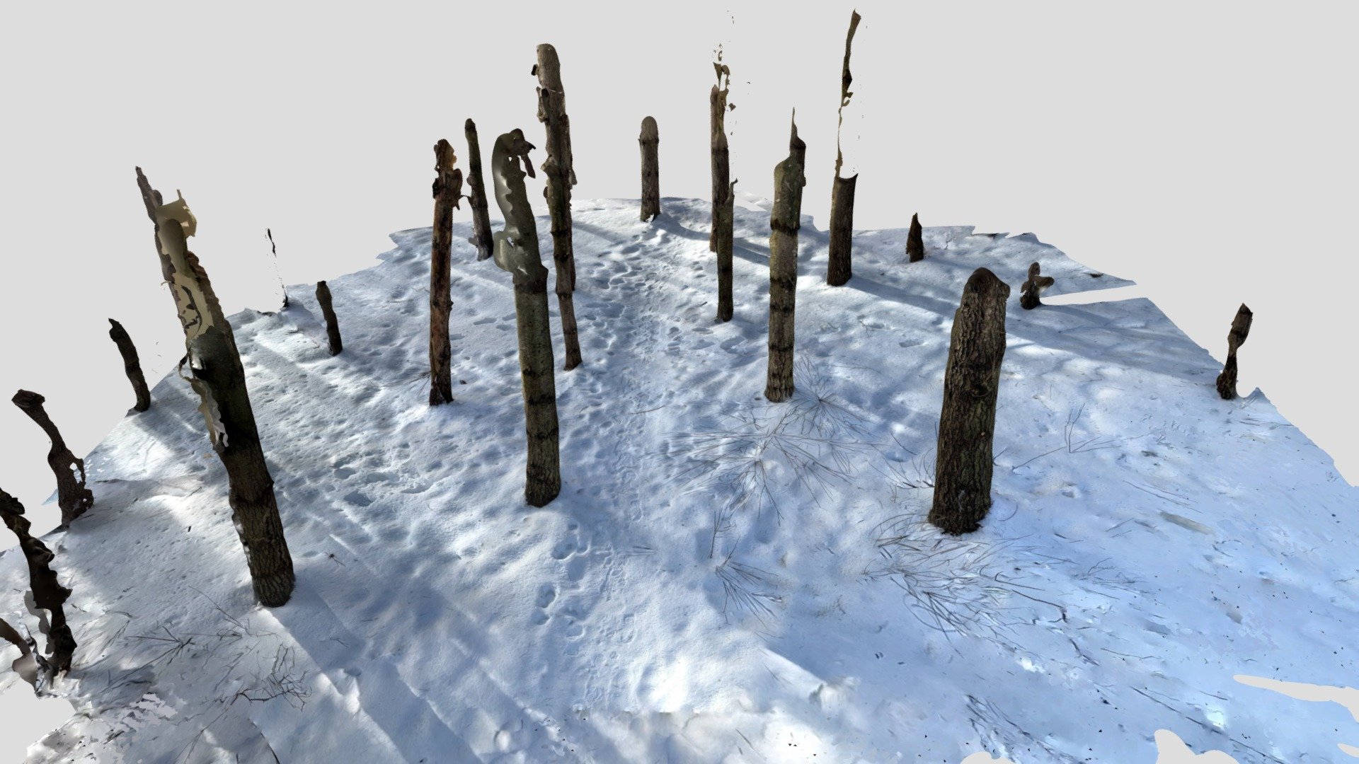 Snowy forest - 3D model by ShacharWeis [3dd31a3] - Sketchfab
