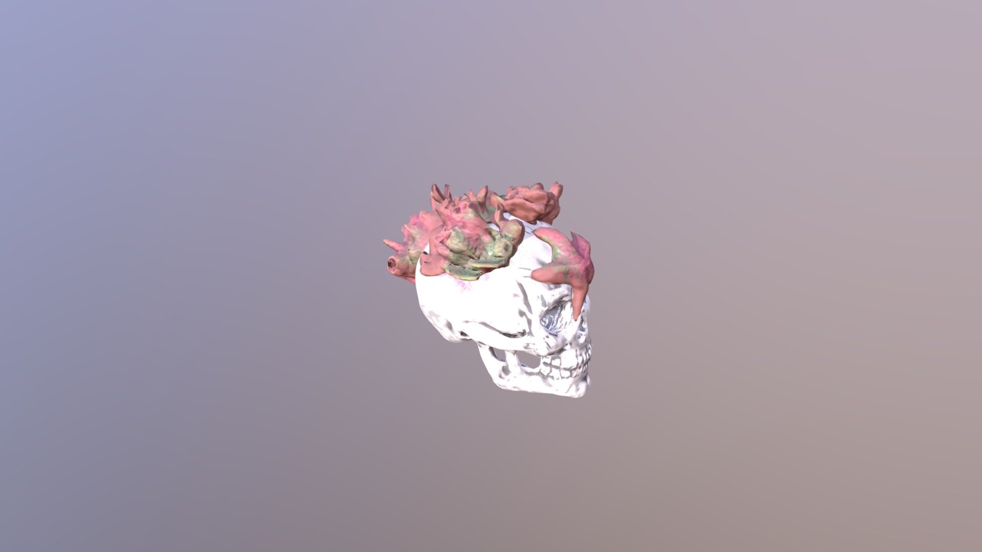 Underwater Overgrown Skull - 3D model by Abigail (@akhart) [3ddc2bb ...