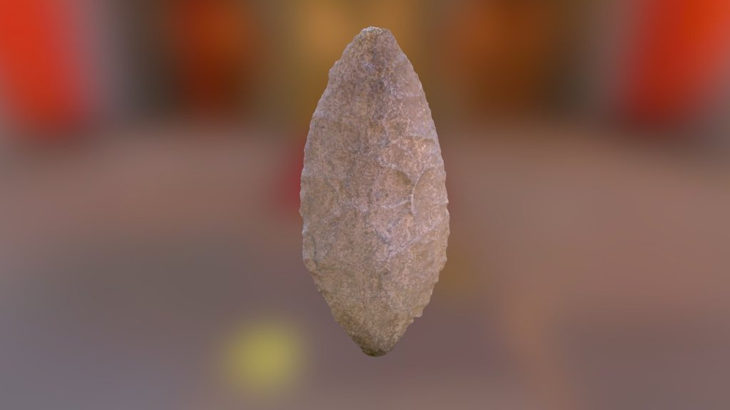 Leaf Blade Point (VCU_3D_192) - 3D model by Virtual Curation Lab ...