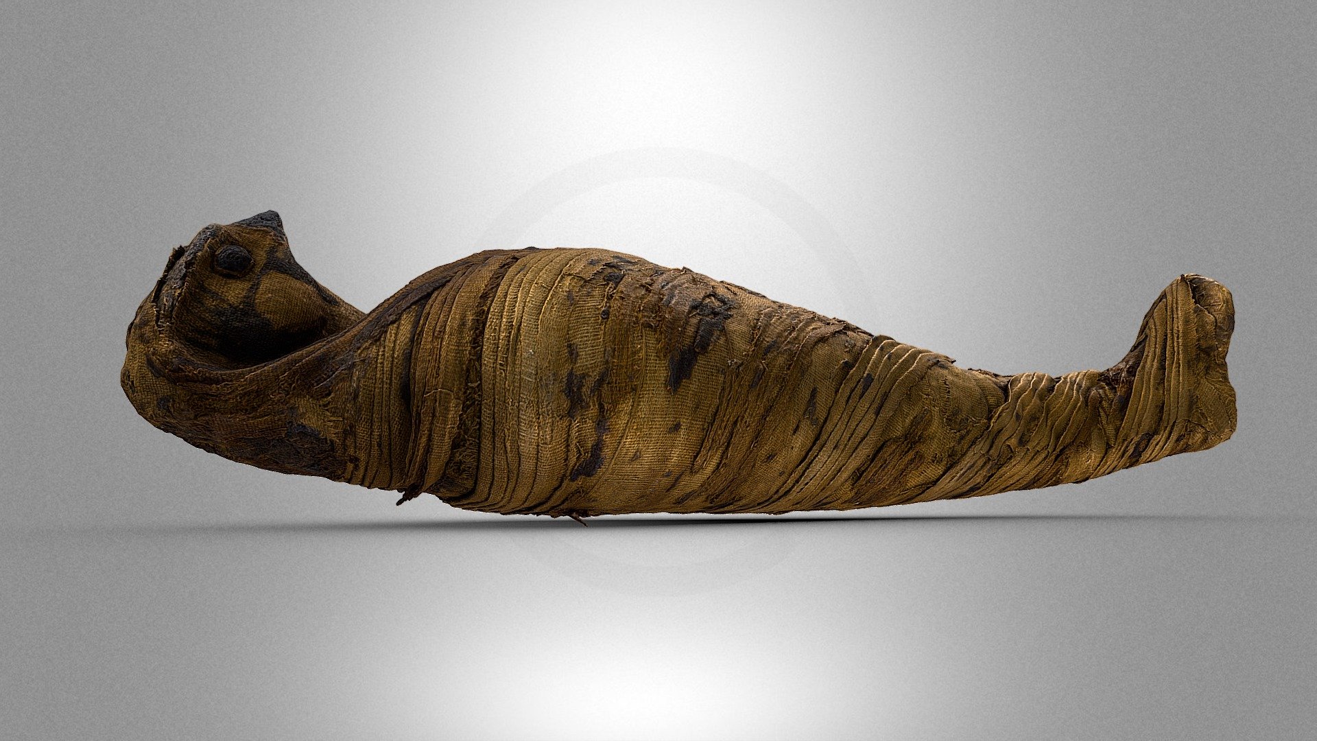 Mummy of a falcon - Download Free 3D model by Virtual Museums of ...