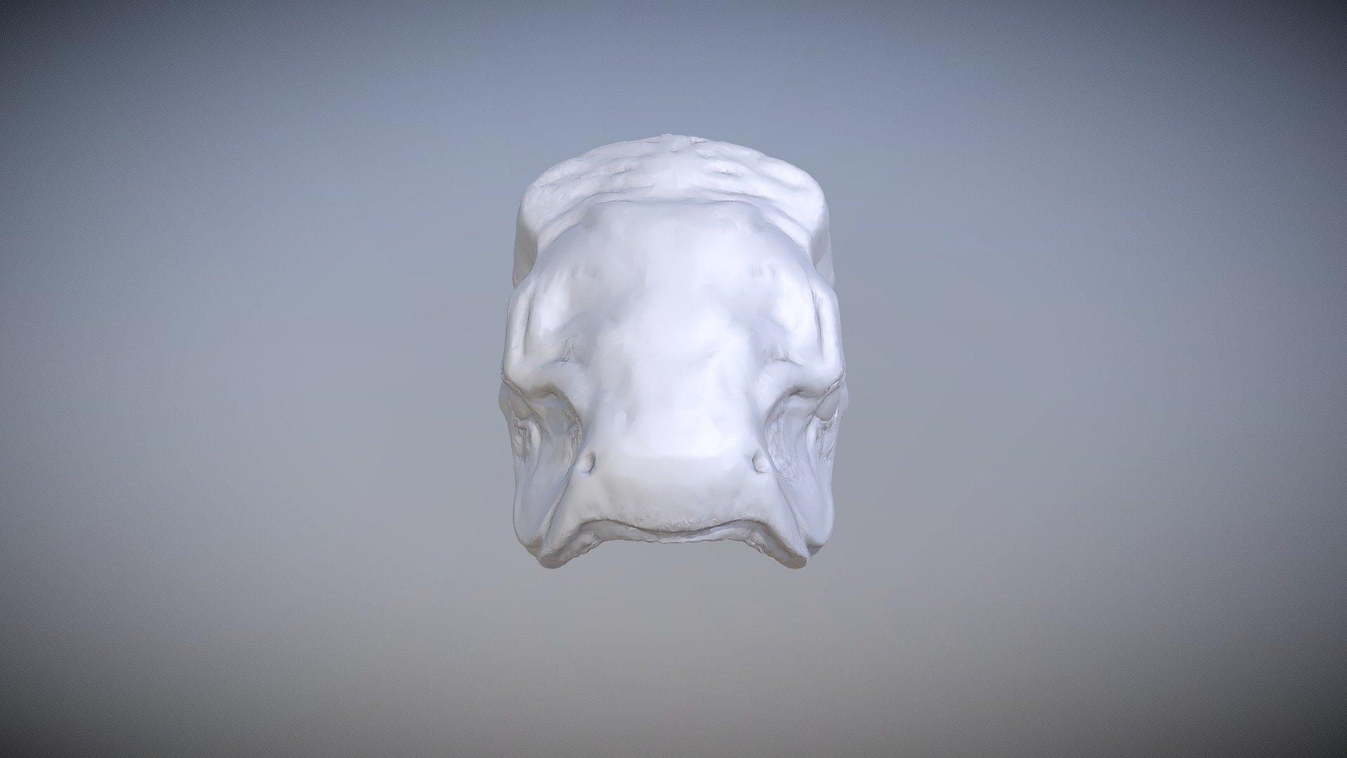 Ichthyosaur Head - Download Free 3D model by gbrl.n.freire [3df659d ...