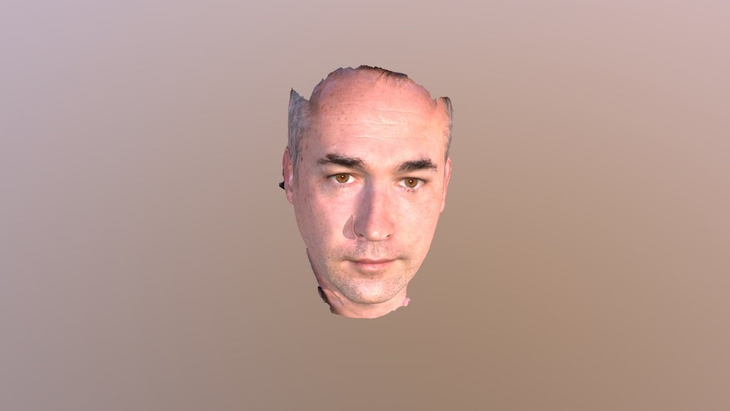 Face - Ludo - 3D model by ludovic.drean [3dfb7aa] - Sketchfab