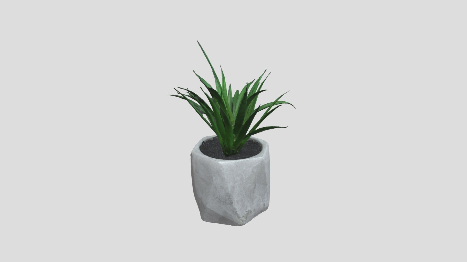 Potted Plant - Buy Royalty Free 3D model by Mindshower [3e01969 ...