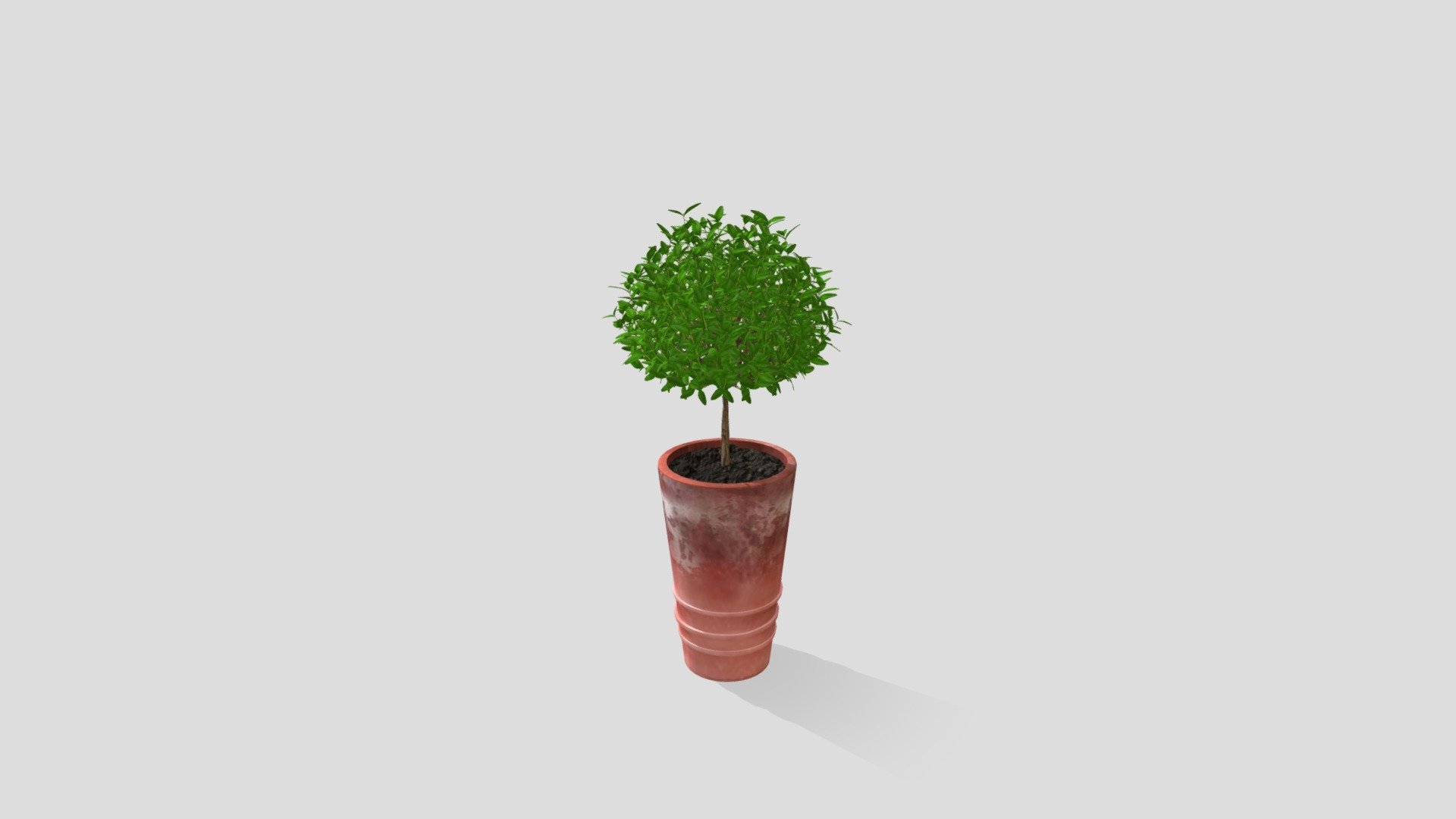 topiary-S - 3D model by 22366797 [3e02e4b] - Sketchfab