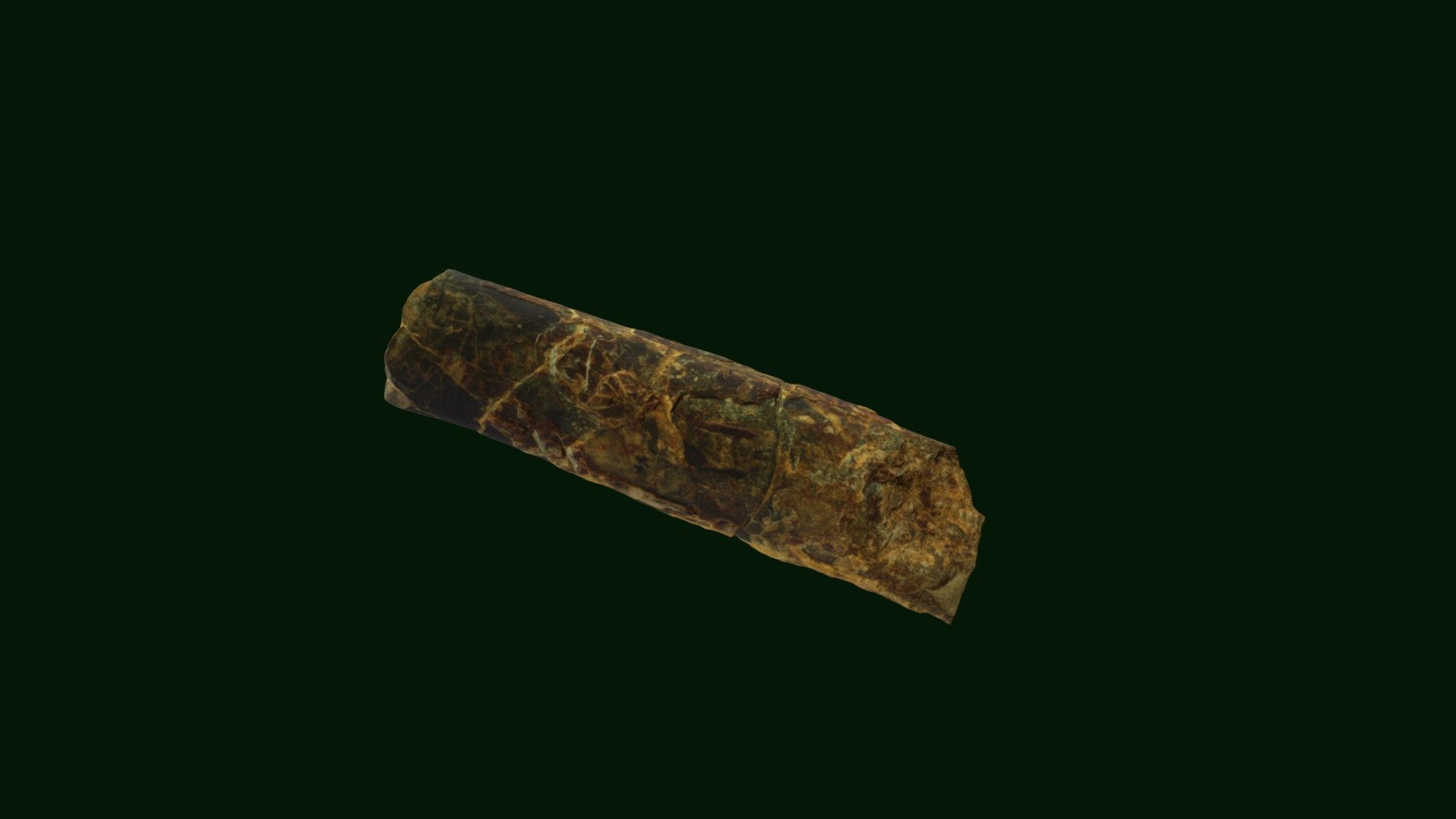 Baculites scotti D1926 Niobrara County, WY - Buy Royalty Free 3D model ...
