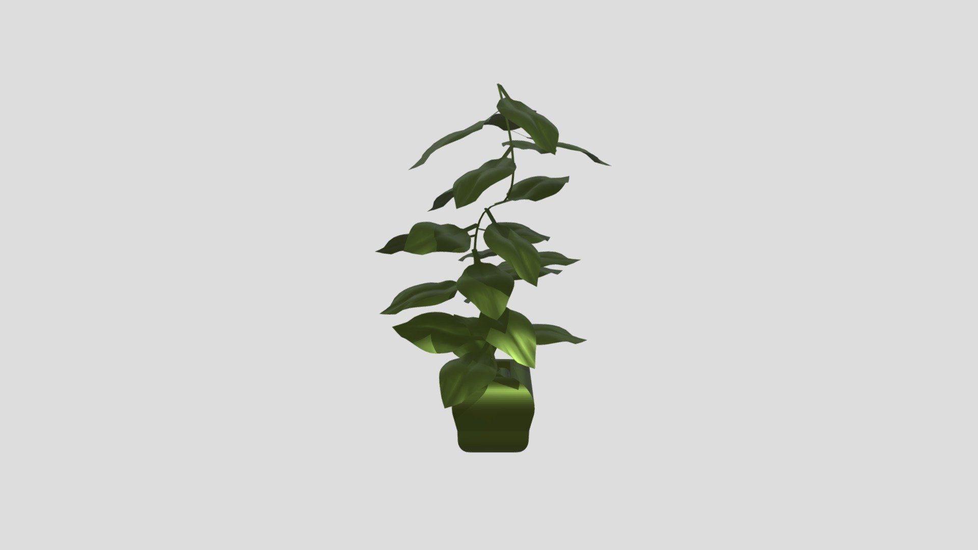 plant - 3D model by IngeBexkens [3e0f62f] - Sketchfab
