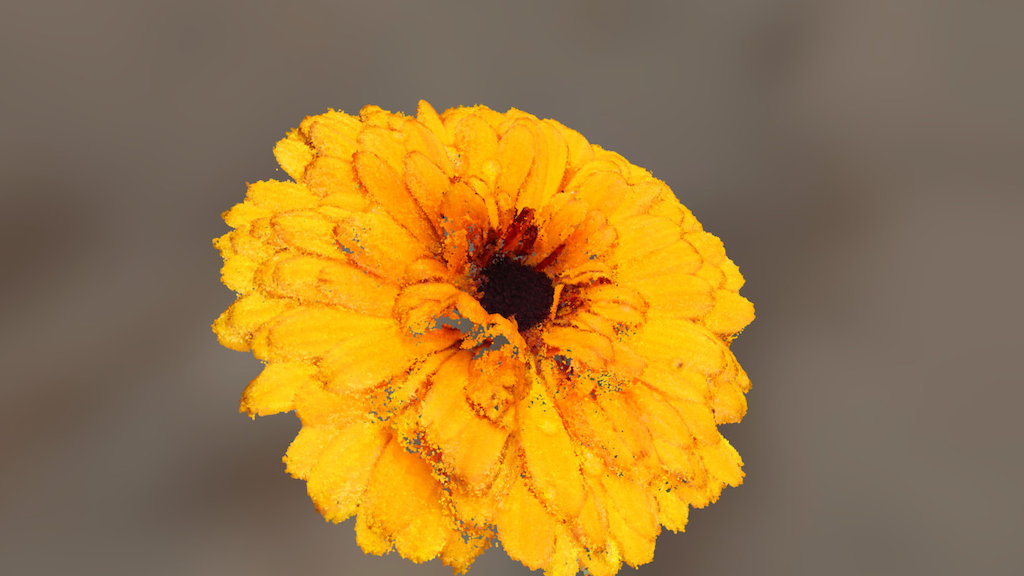 Flower (Point Cloud) - 3D model by Agisoft [3e1f2bd] - Sketchfab