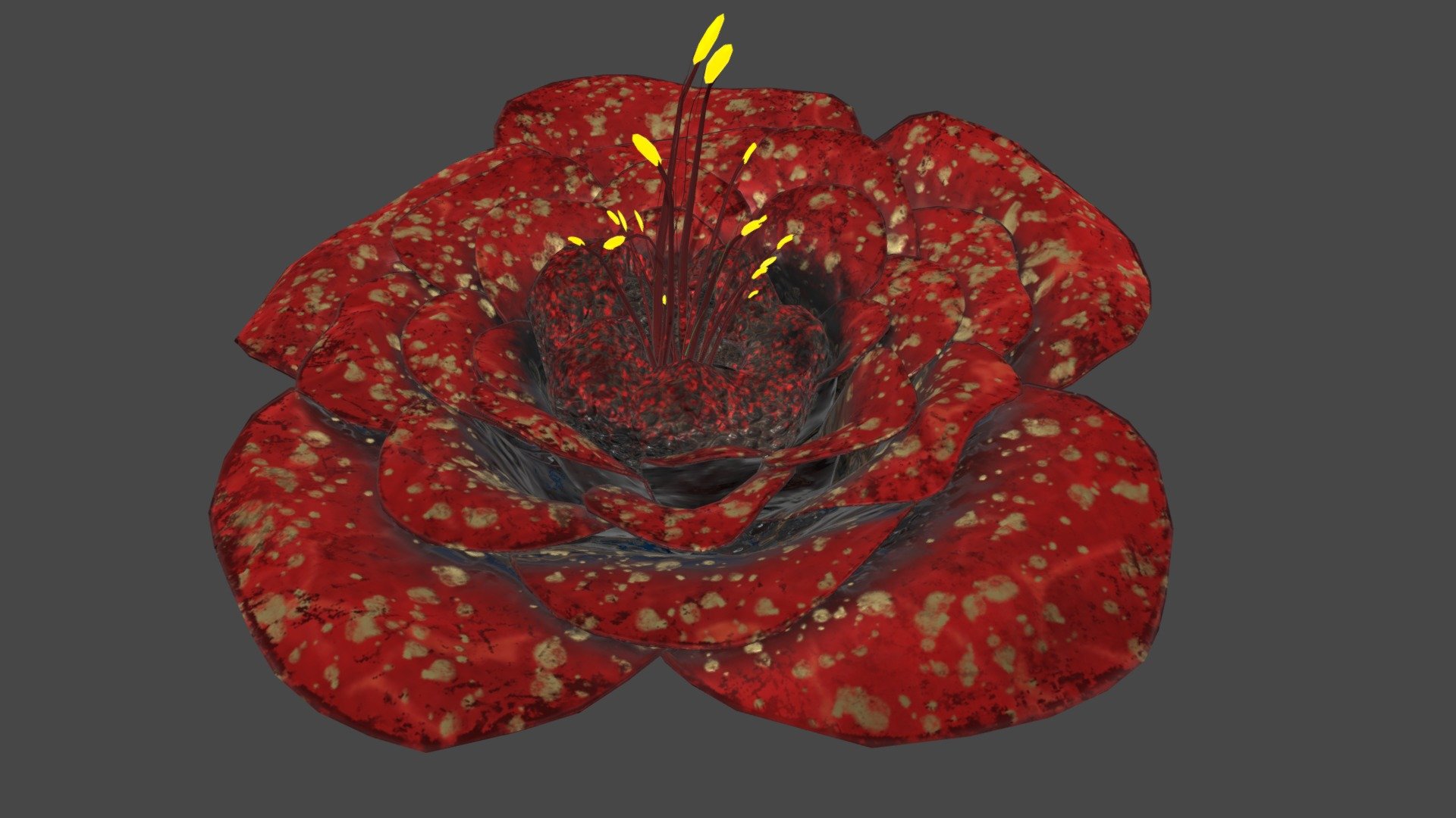 Rafflesia Flower_low poly - 3D model by kiranjangra [3e28117] - Sketchfab