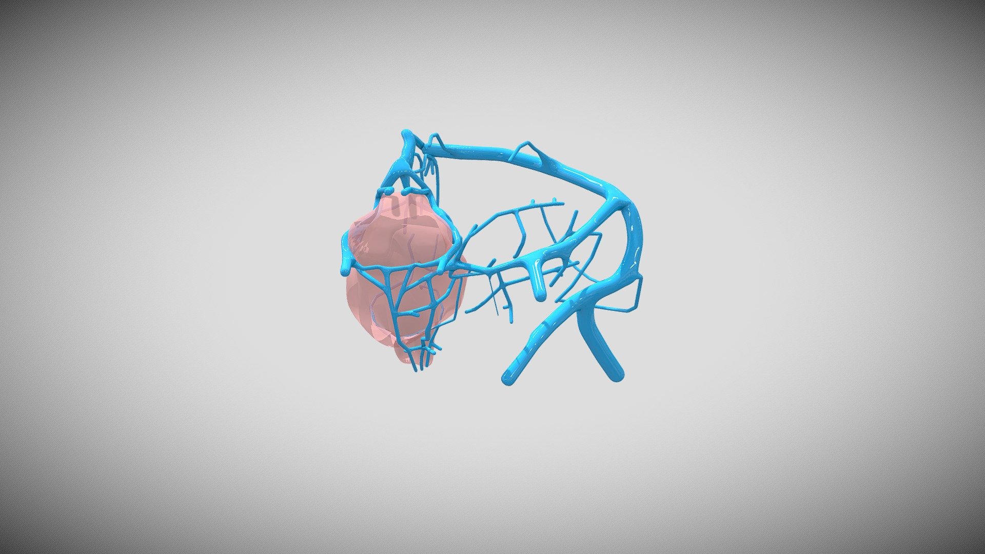 Posterior fossa veins - 3D model by Dr SAI PRASHANTH (@prsp11) [3e29ae8 ...