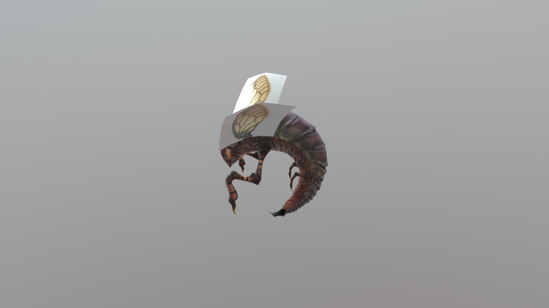 Insect - 3D model by wetpwnage [3e2e50a] - Sketchfab