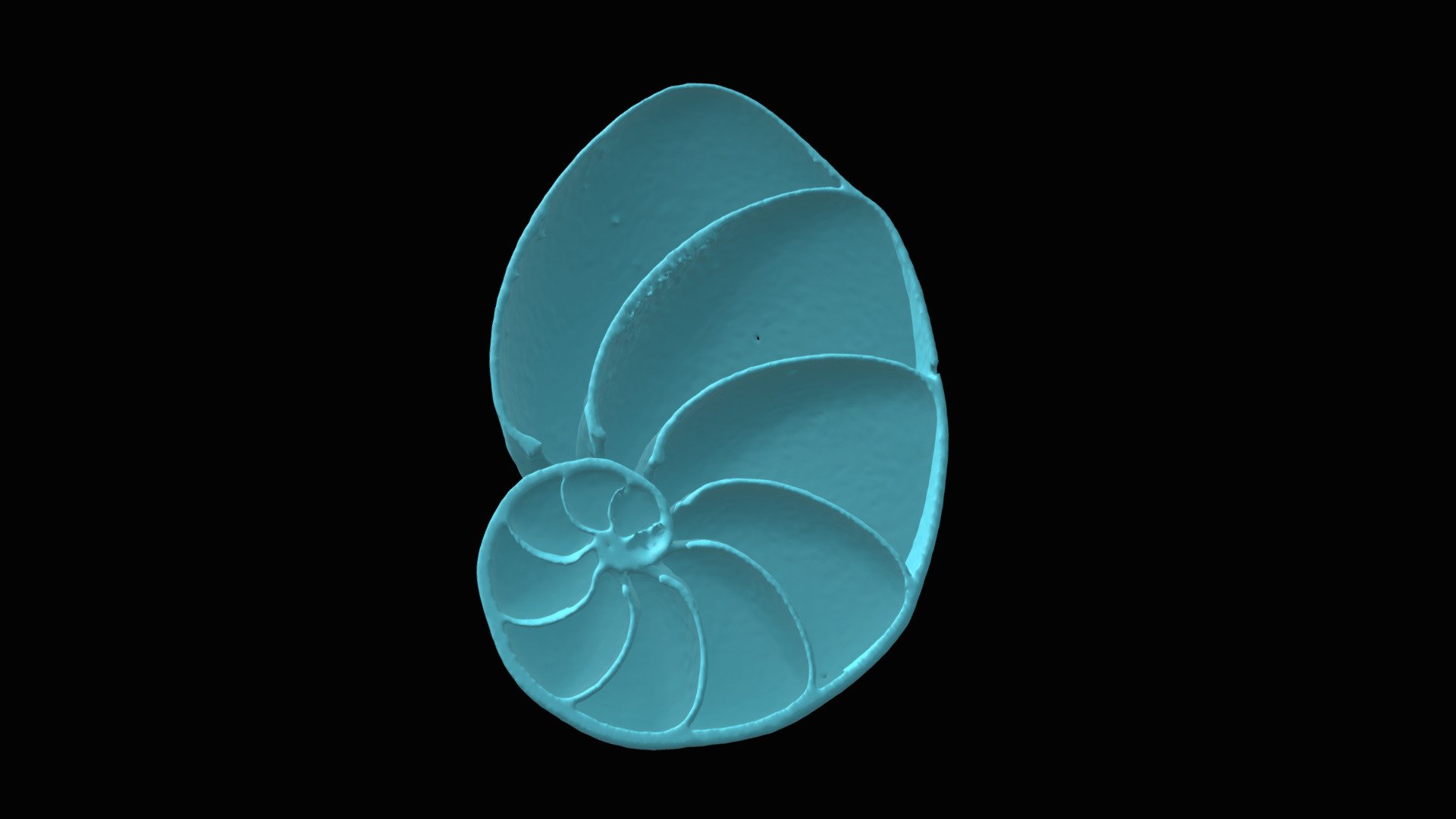 Nonionellina labradorica - Download Free 3D model by BelangerForamLab (@christina.belanger ...