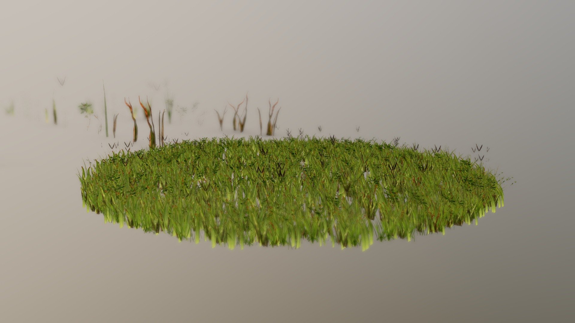Realistic Grass Asset Pack - Buy Royalty Free 3D model by Andrew Walsh ...