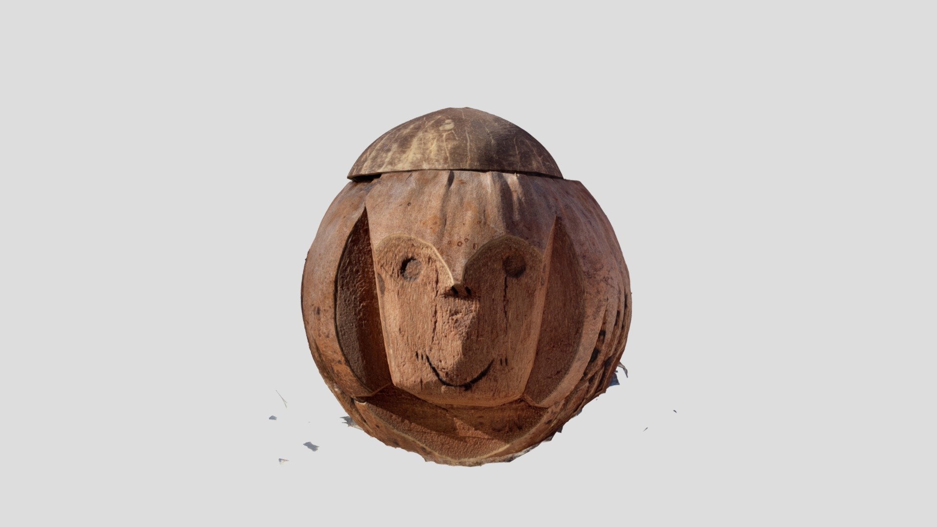 Coconut - Download Free 3D model by Physix2455 [3e37522] - Sketchfab