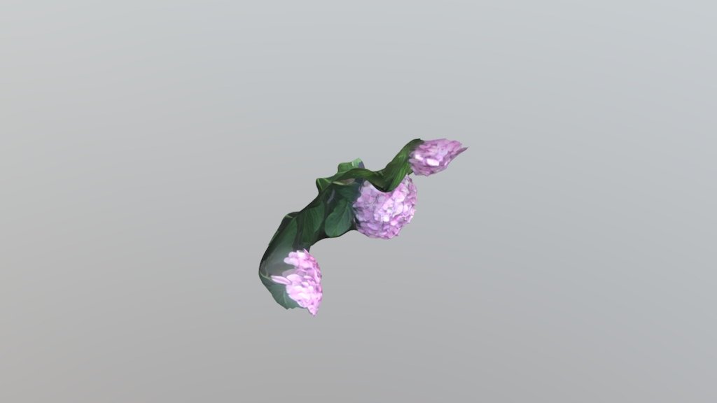 Flower 1 - 3D model by sianfan [3e3916f] - Sketchfab