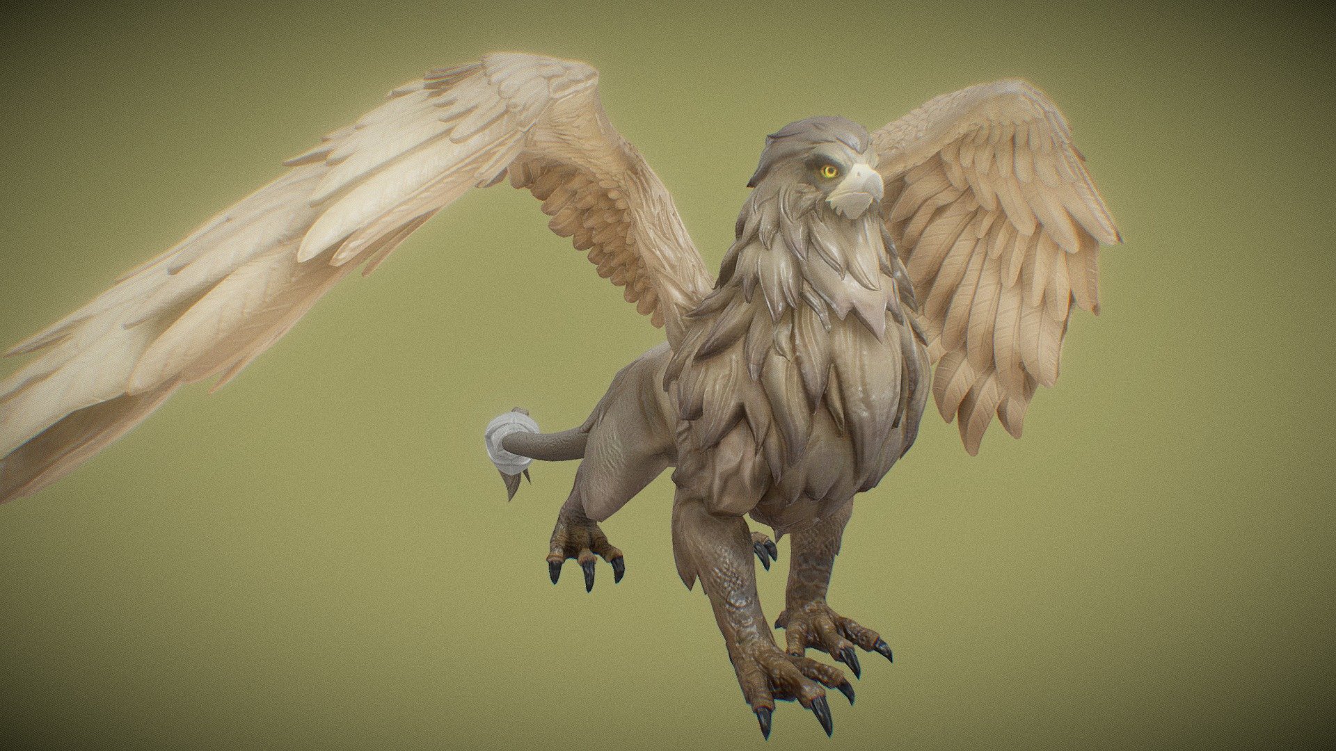 Griffin stage1 - Buy Royalty Free 3D model by Luna Studio (@StudioLuna ...