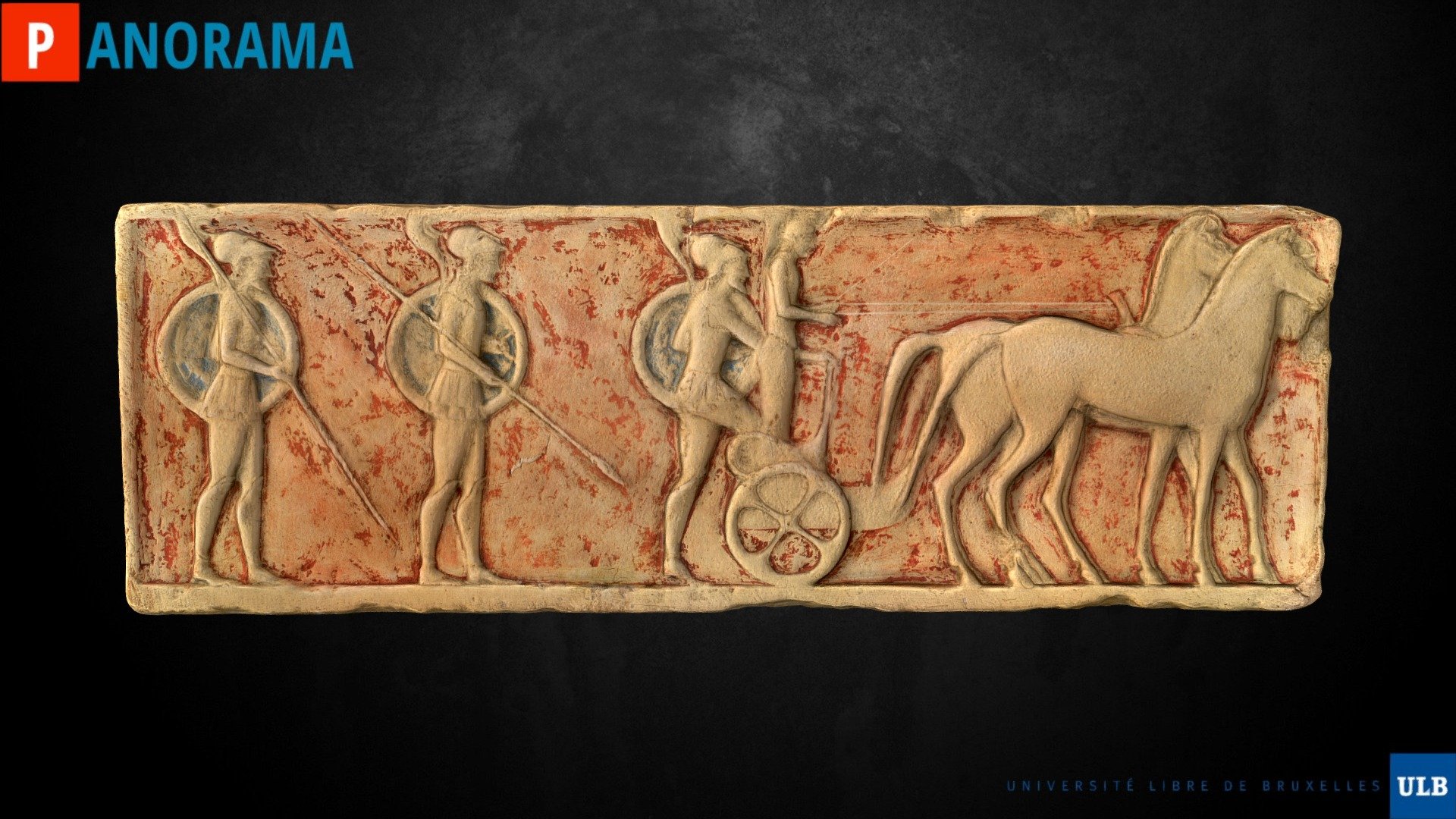Apobates profil droit - 3D model by Panorama [3e4fbf0] - Sketchfab
