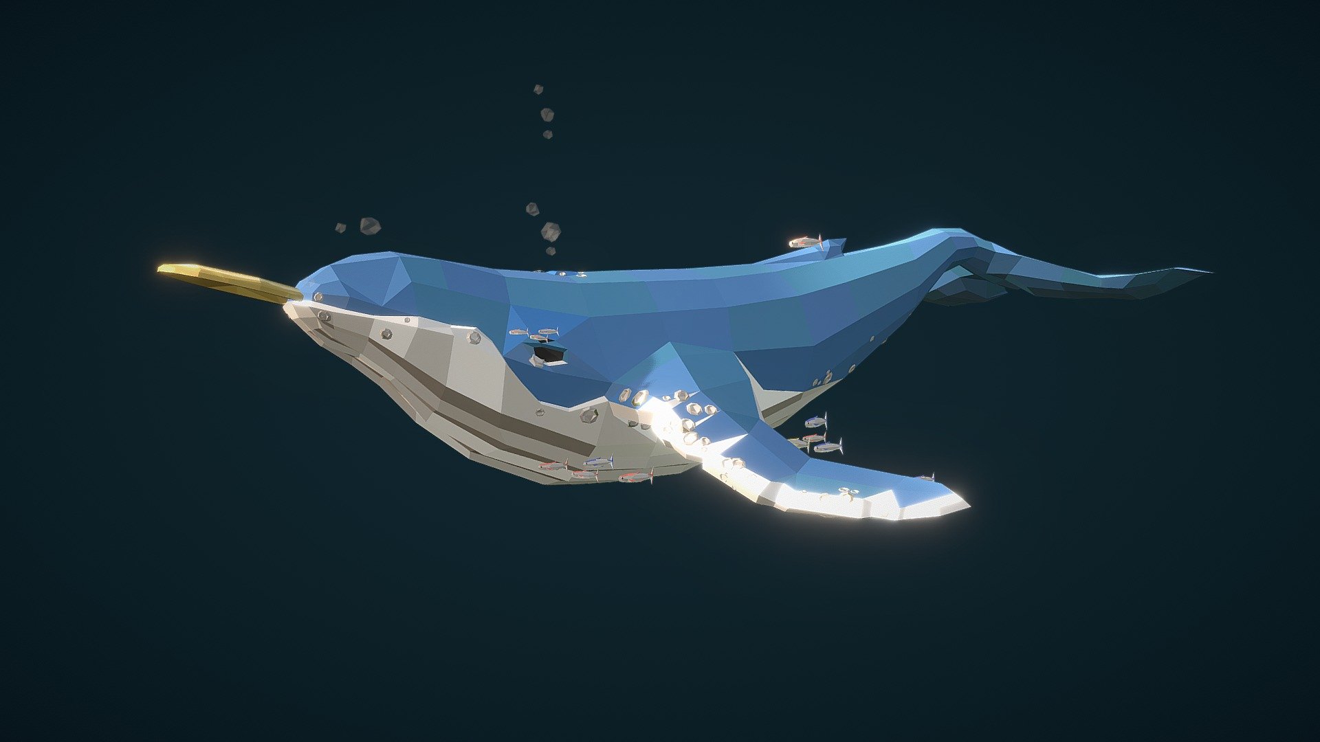 Lowpoly Whale - 3D model by Stéphane Charré (@alpha-fr) [3e537b6 ...