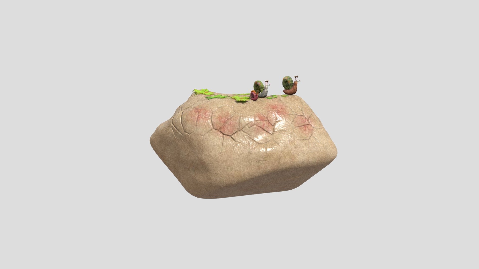 snail modeal - 3D model by kinnerarajesh [3e54ce6] - Sketchfab