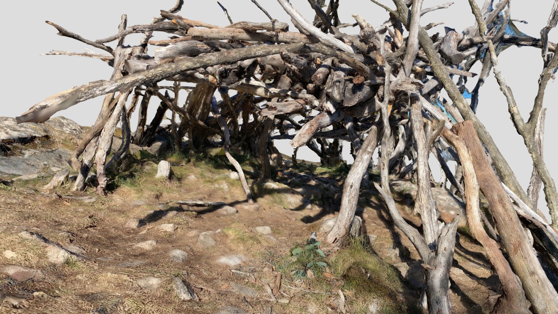Stick hut - Download Free 3D model by MattMakesSwords - Scans ...