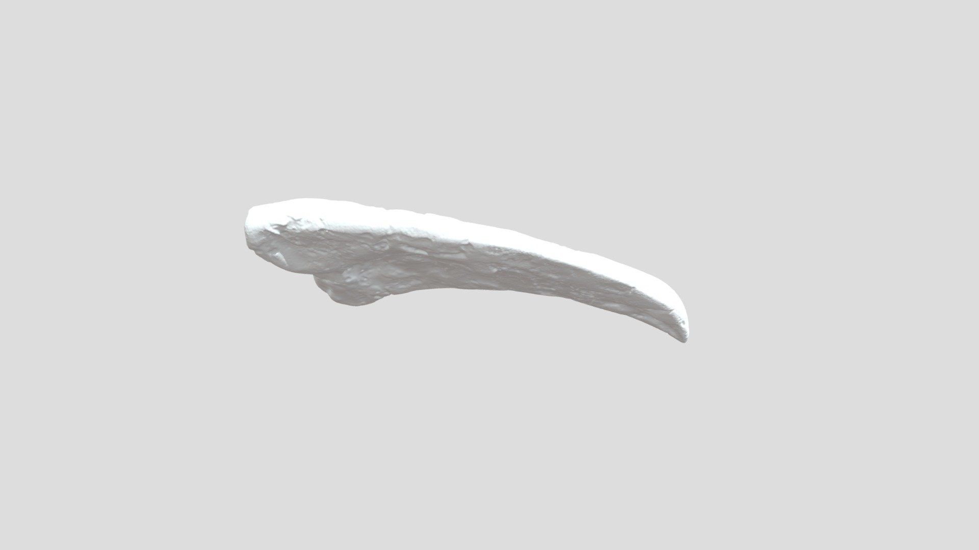 Garra sp - 3D model by MUCDI UNAM (@MUCDIUNAM) [3e5f5e7] - Sketchfab