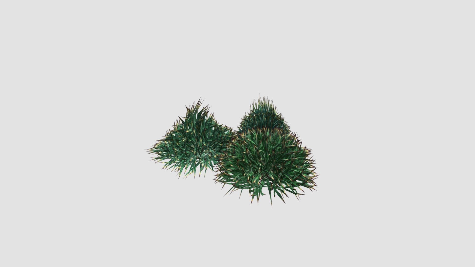 Decorative grass - Buy Royalty Free 3D model by Evermotion [3e60256 ...