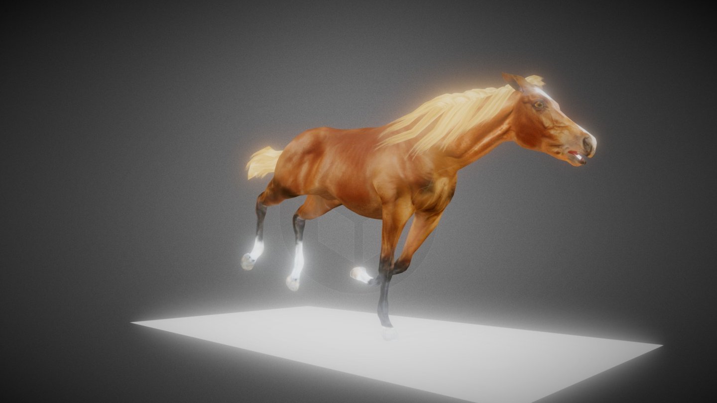 Horse Run - 3D model by sasha_hush [3e6b2f4] - Sketchfab