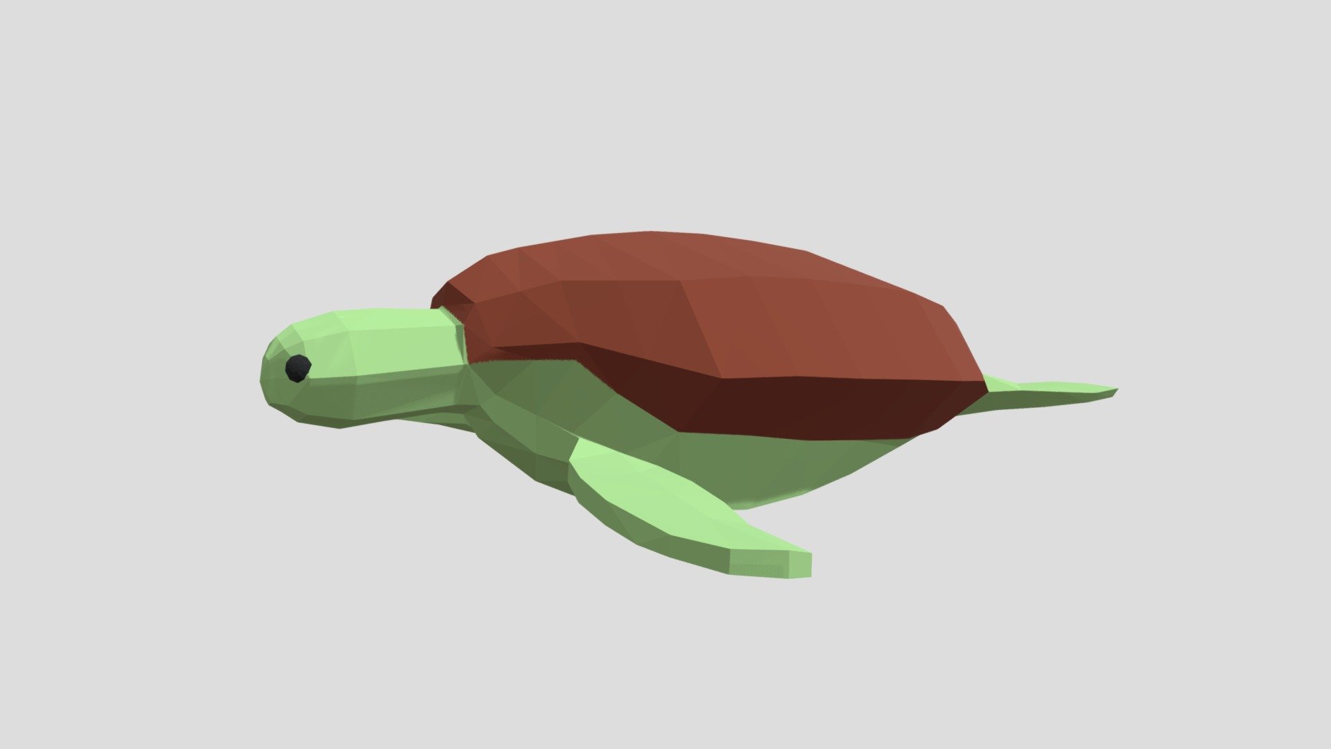 Green Sea Turtle - 3D model by Cxrly97 [3e7050b] - Sketchfab